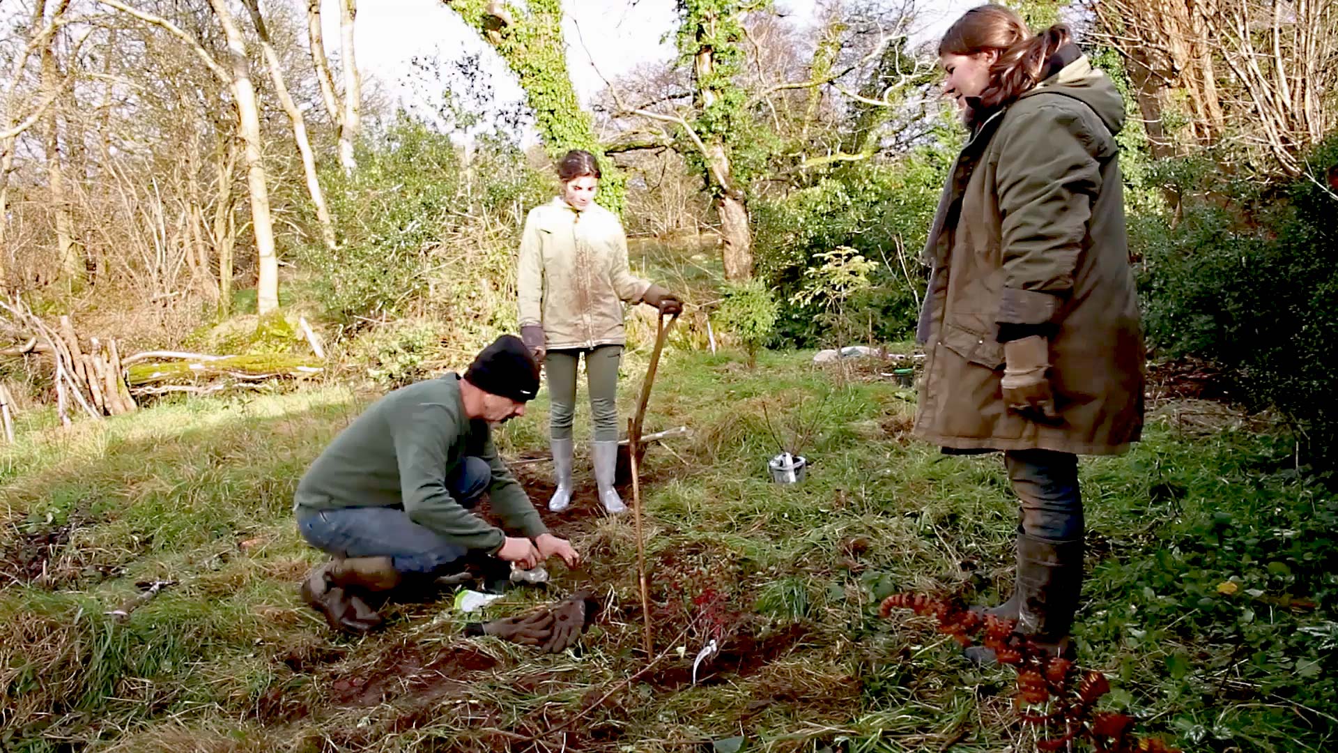 Arwen Sanctuary - Emergence Foundation