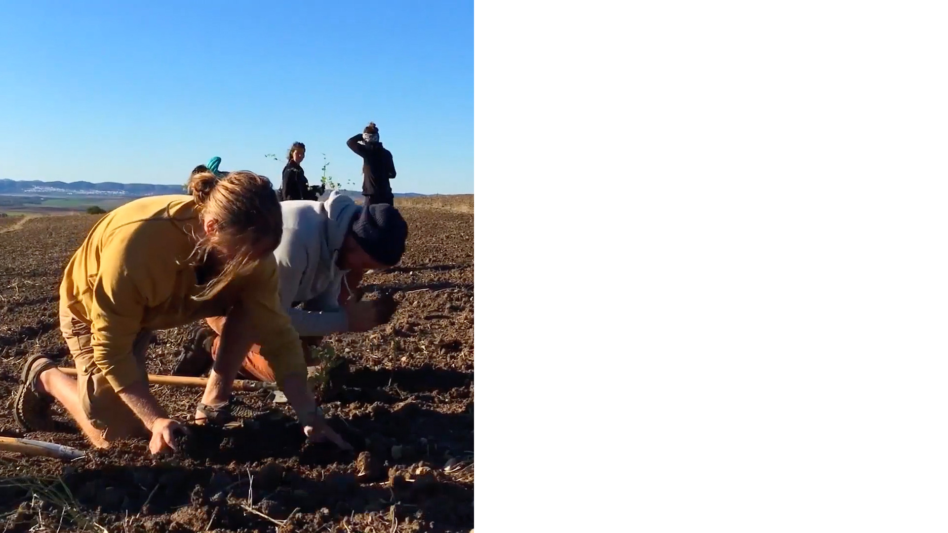 Log In - Emergence Foundation